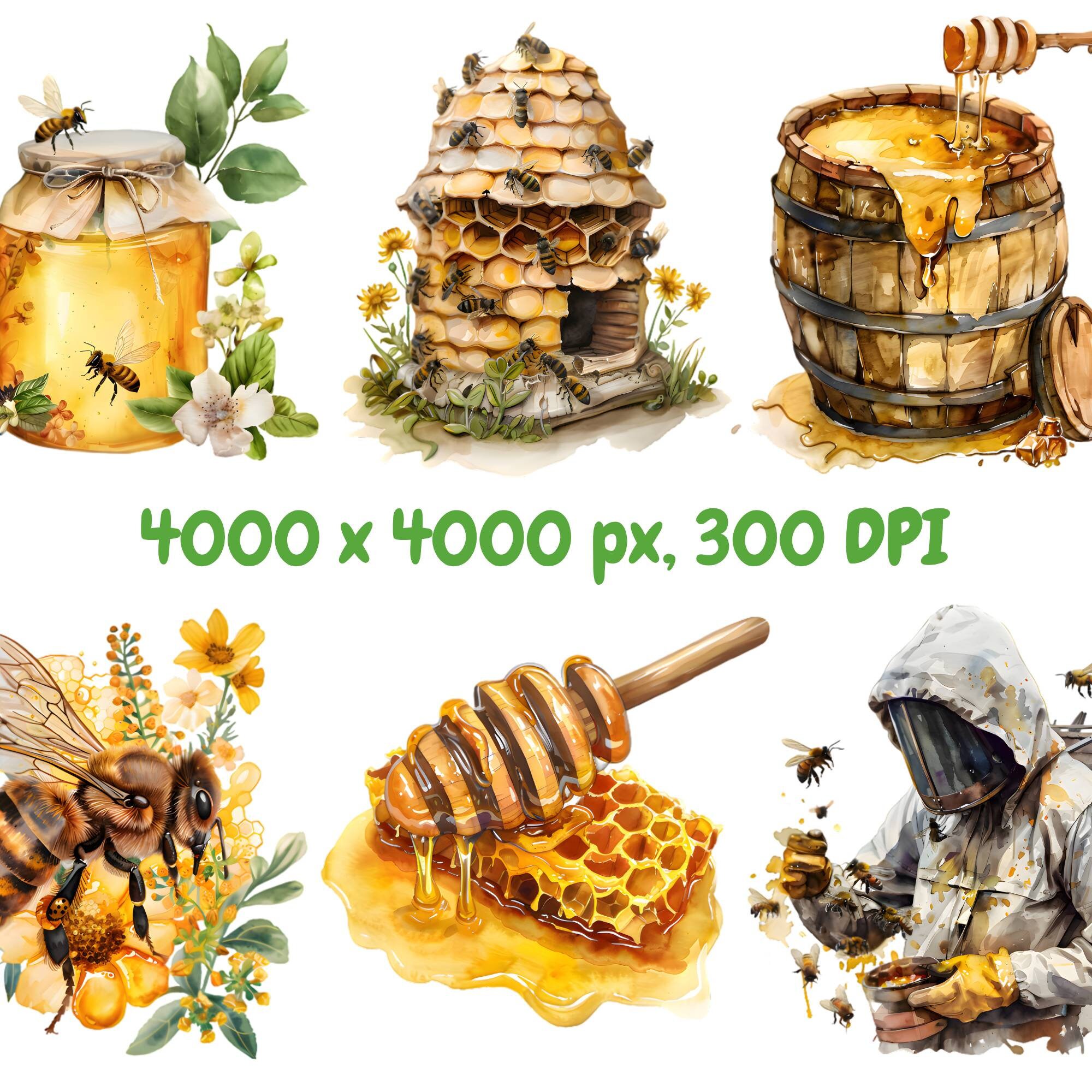 Watercolor Honey Clipart Bundle, Honey Bee Clipart, Honeycomb ...