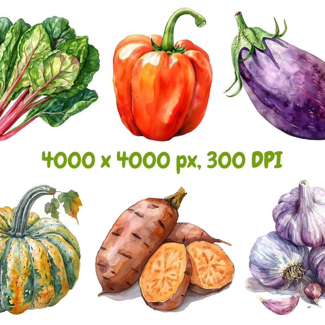 Watercolor Farm Vegetables Clipart Bundle, Farmers Market Clipart ...