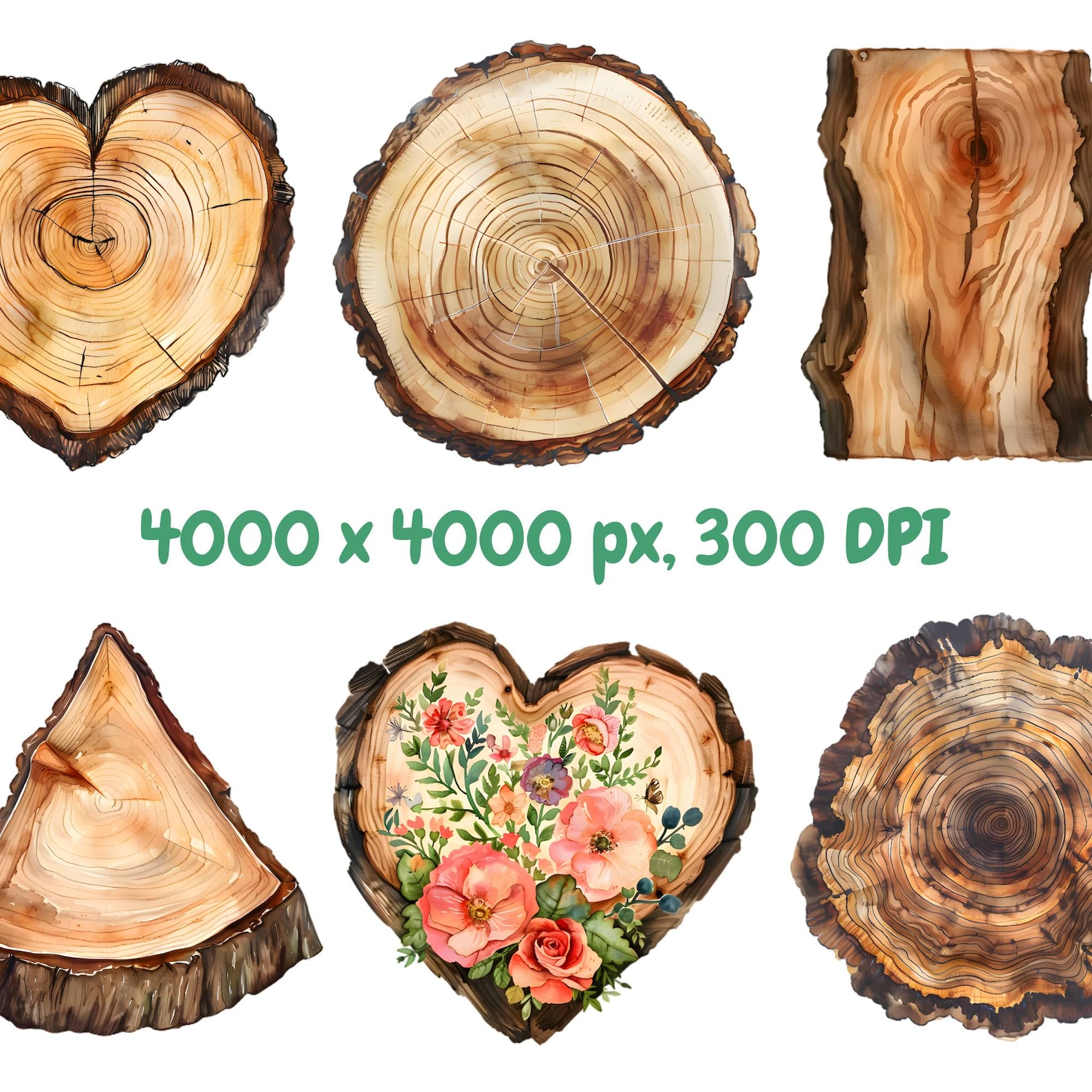 Watercolor Wood Slices Clipart Bundle, Tree Slices Clipart, Forest ...