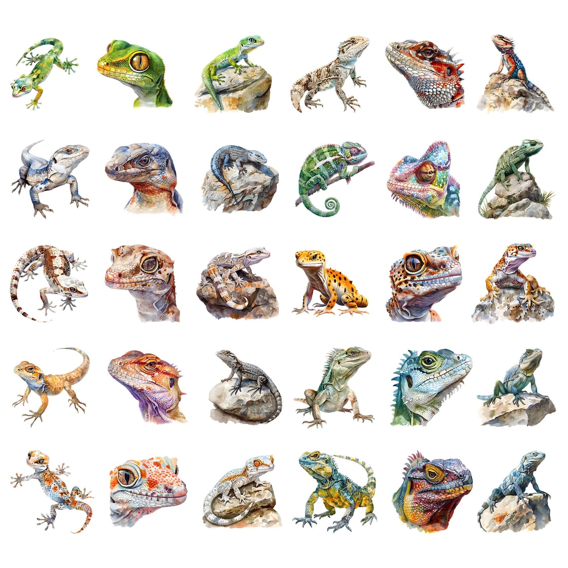 Watercolor Lizards Clipart Bundle, Chameleon Gecko Clipart, Reptile ...