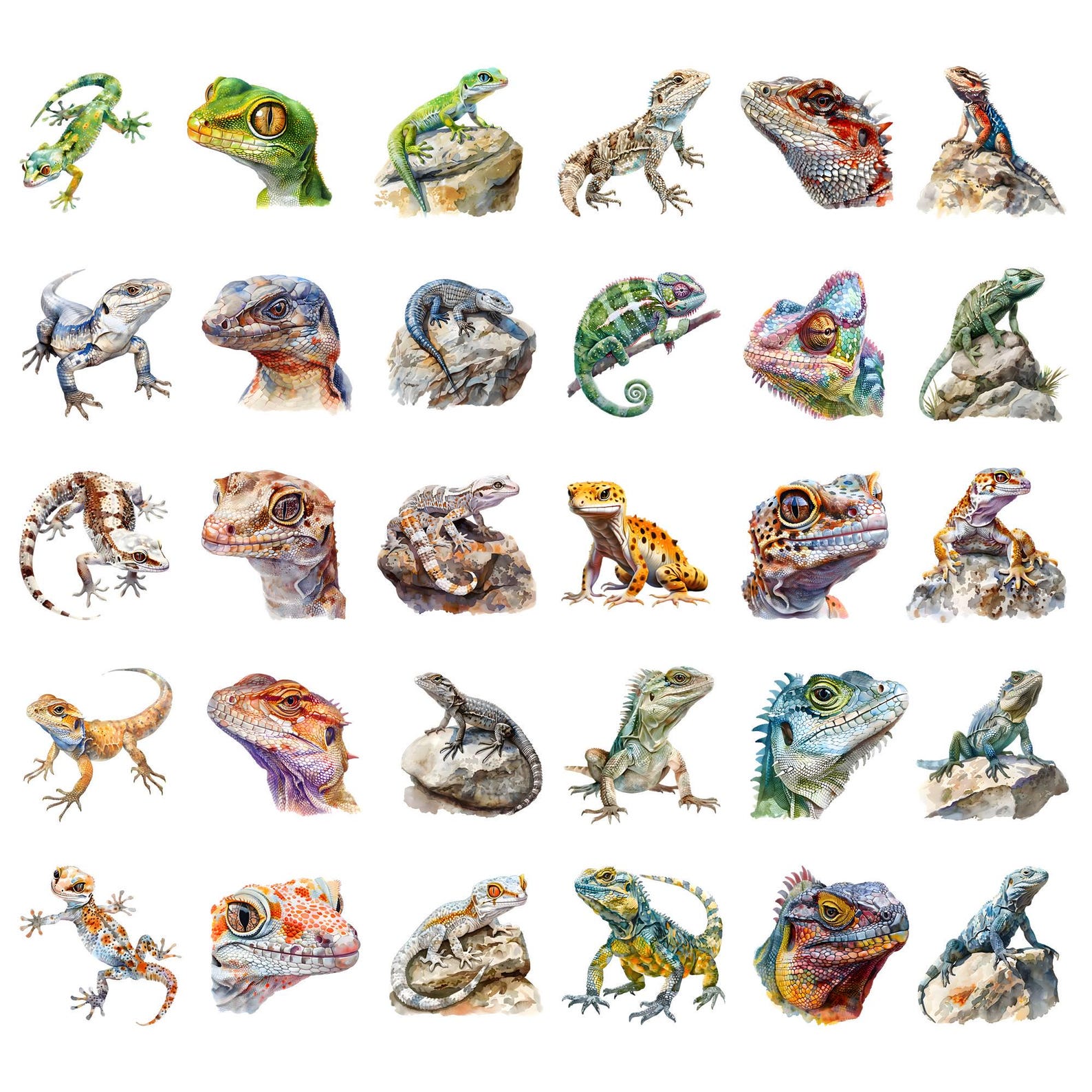 Watercolor Lizards Clipart Bundle, Chameleon Gecko Clipart, Reptile ...