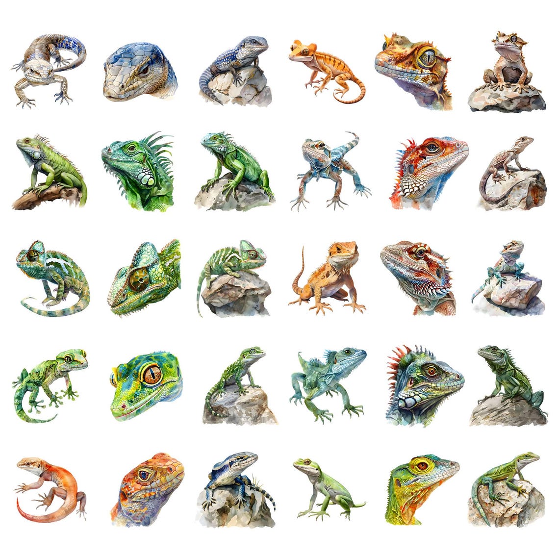Watercolor Lizards Clipart Bundle, Chameleon Gecko Clipart, Reptile ...