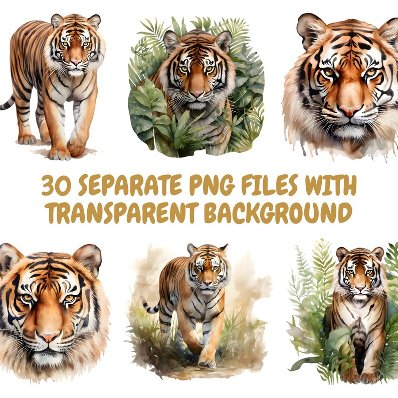 Watercolor Tigers Clipart Bundle, Jungle Animals Clipart, Tiger ...