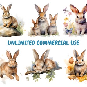 Watercolor Rabbits Clipart Bundle, Cute Bunny Clipart, Rabbit ...