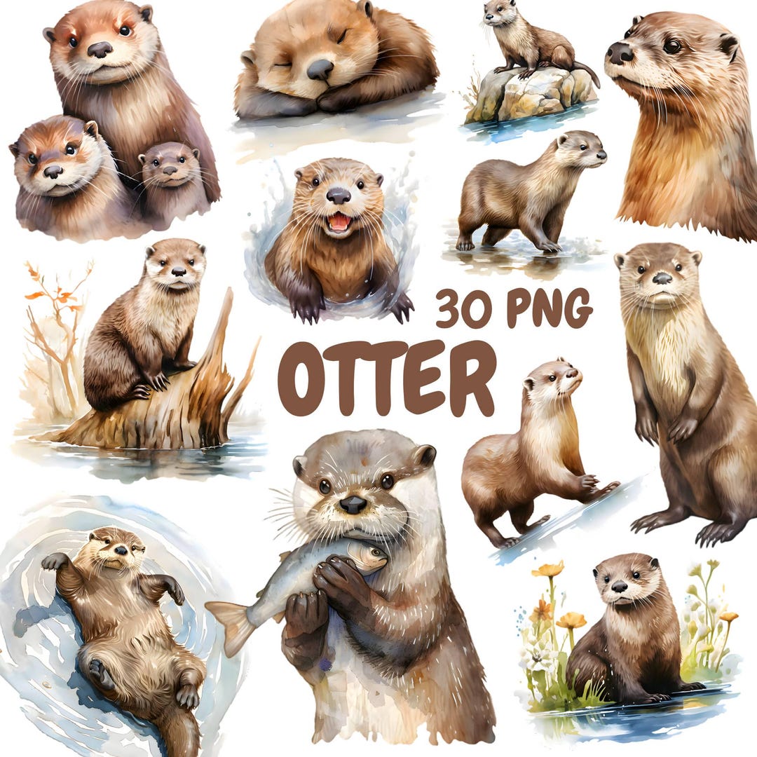 Watercolor Otter Clipart Bundle, Sea Otter Clipart, Otter Illustrations ...