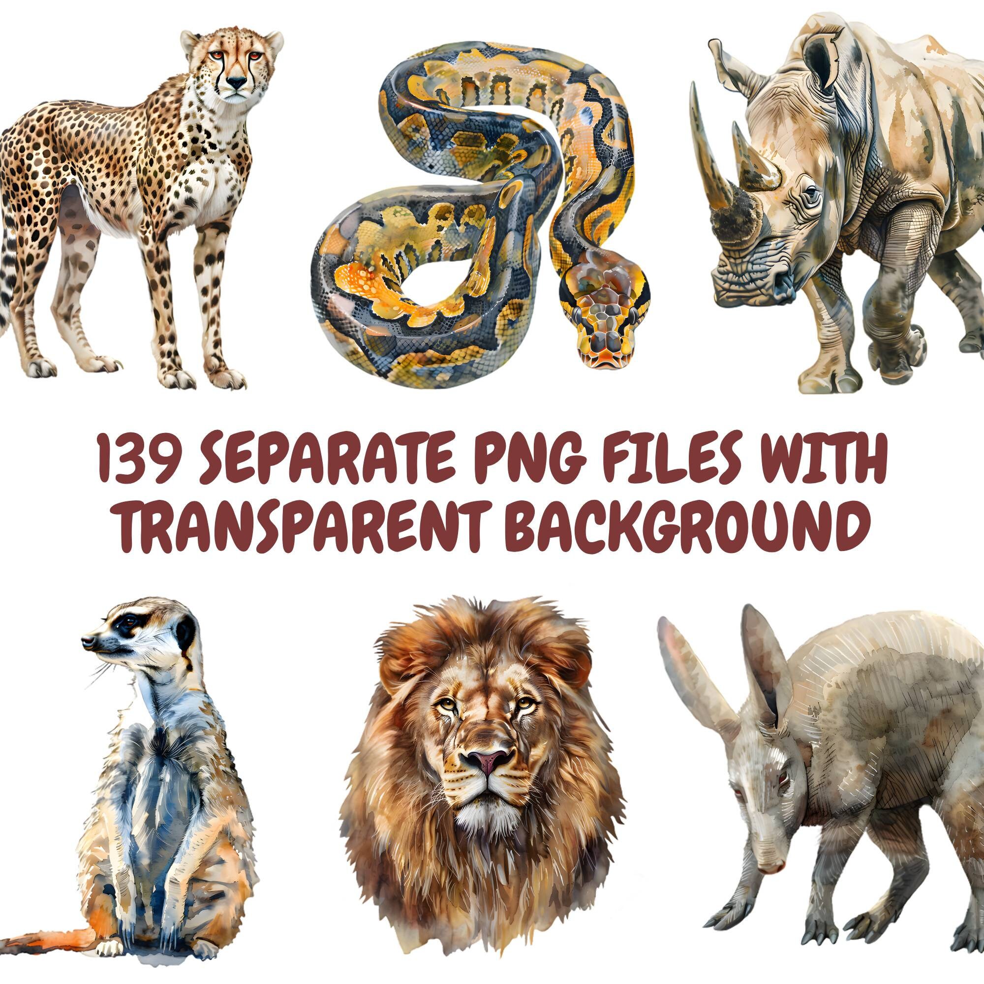 Watercolor African Animals Clipart Bundle, Safari Animals Clipart ...