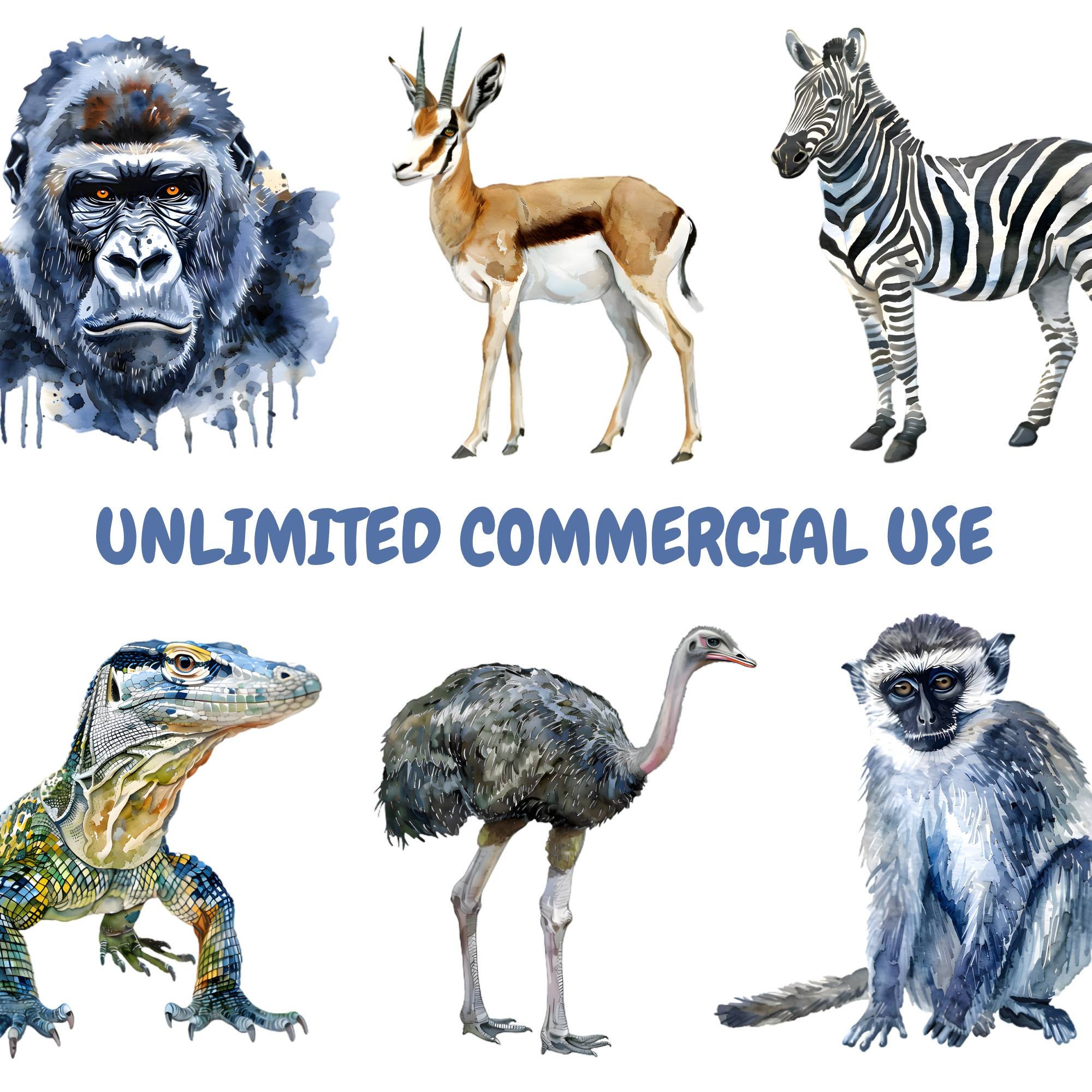 Watercolor African Animals Clipart Bundle, Safari Animals Clipart ...