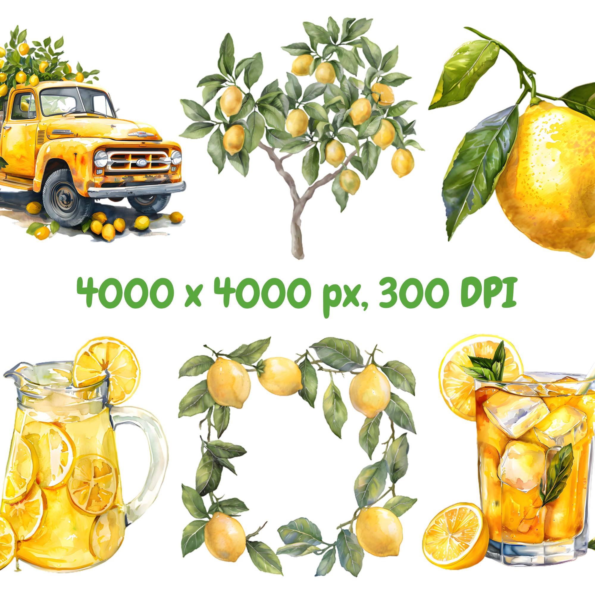 Watercolor Lemon Clipart Bundle, Lemon Branch Clipart, Lemonade ...