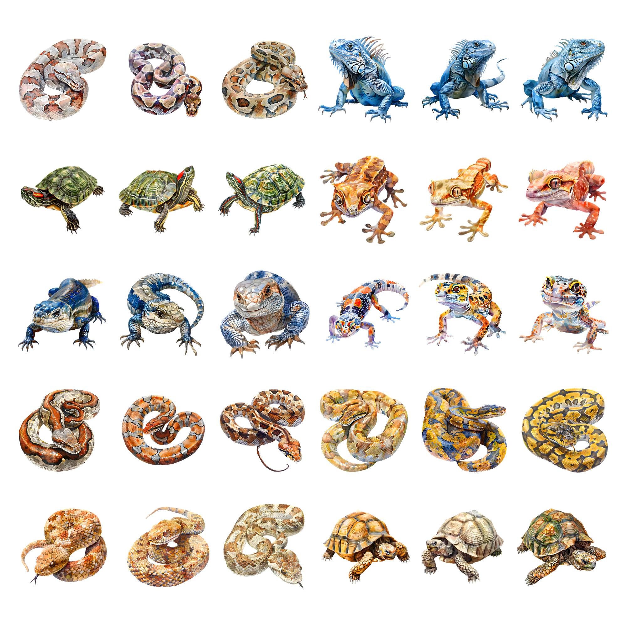 Watercolor Reptiles Clipart Bundle, Exotic Animals Clipart, Lizard ...