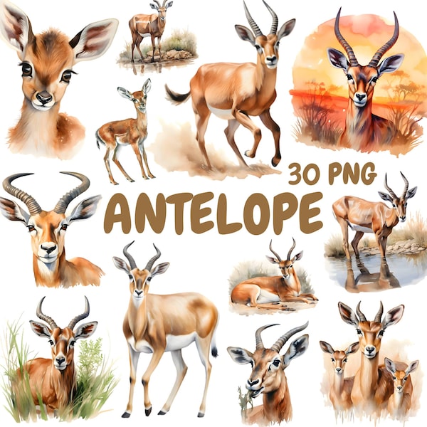Watercolor Antelope - Etsy