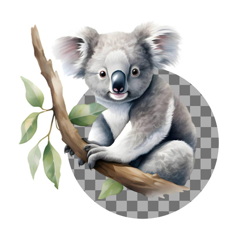 Watercolor Koala Clipart Bundle, Cute Koala Clipart, Koala ...