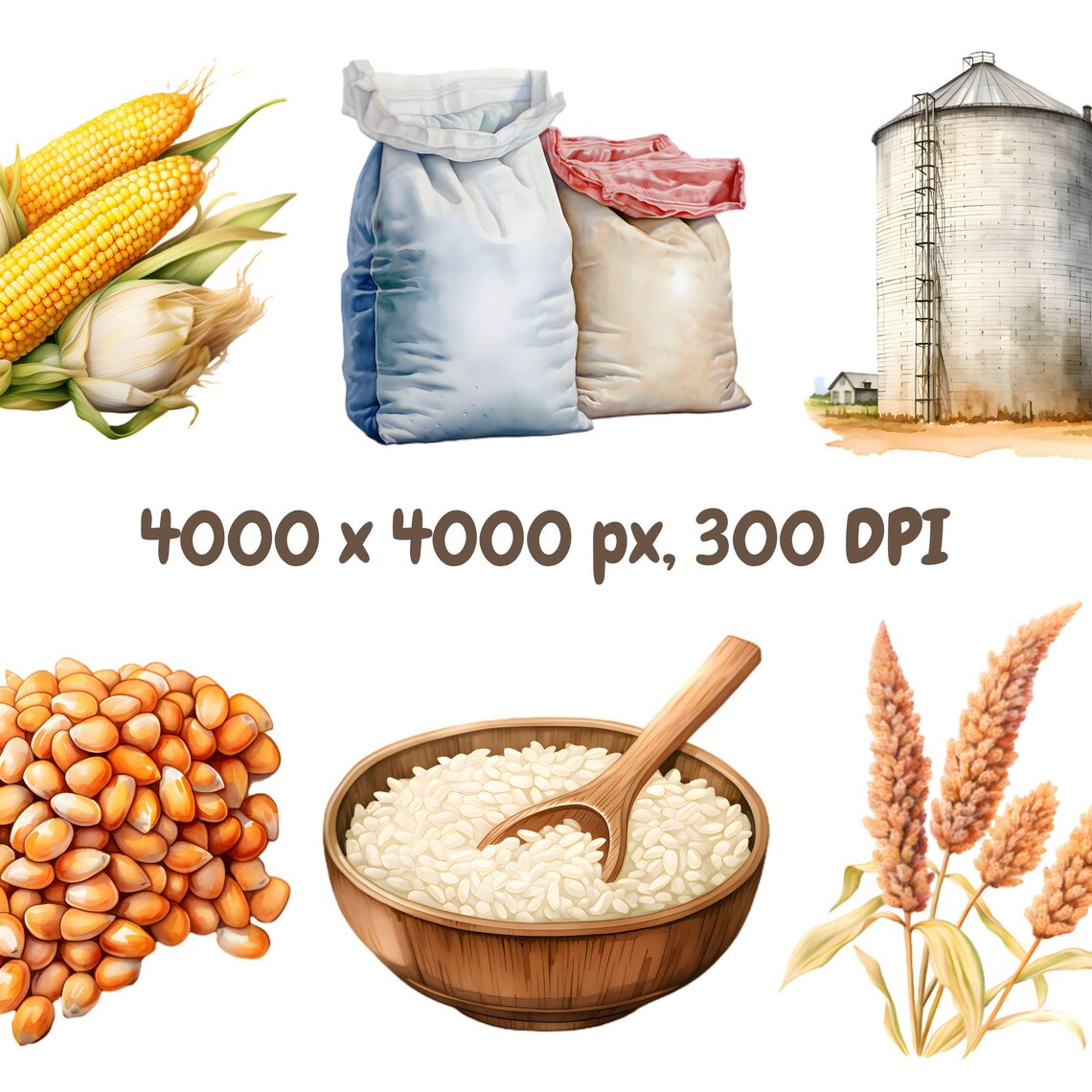 Watercolor Grains Clipart Bundle, Farm Harvest Clipart, Wheat ...