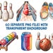 Watercolor Bowling Clipart Bundle, Fun Sports Clipart, Bowling ...