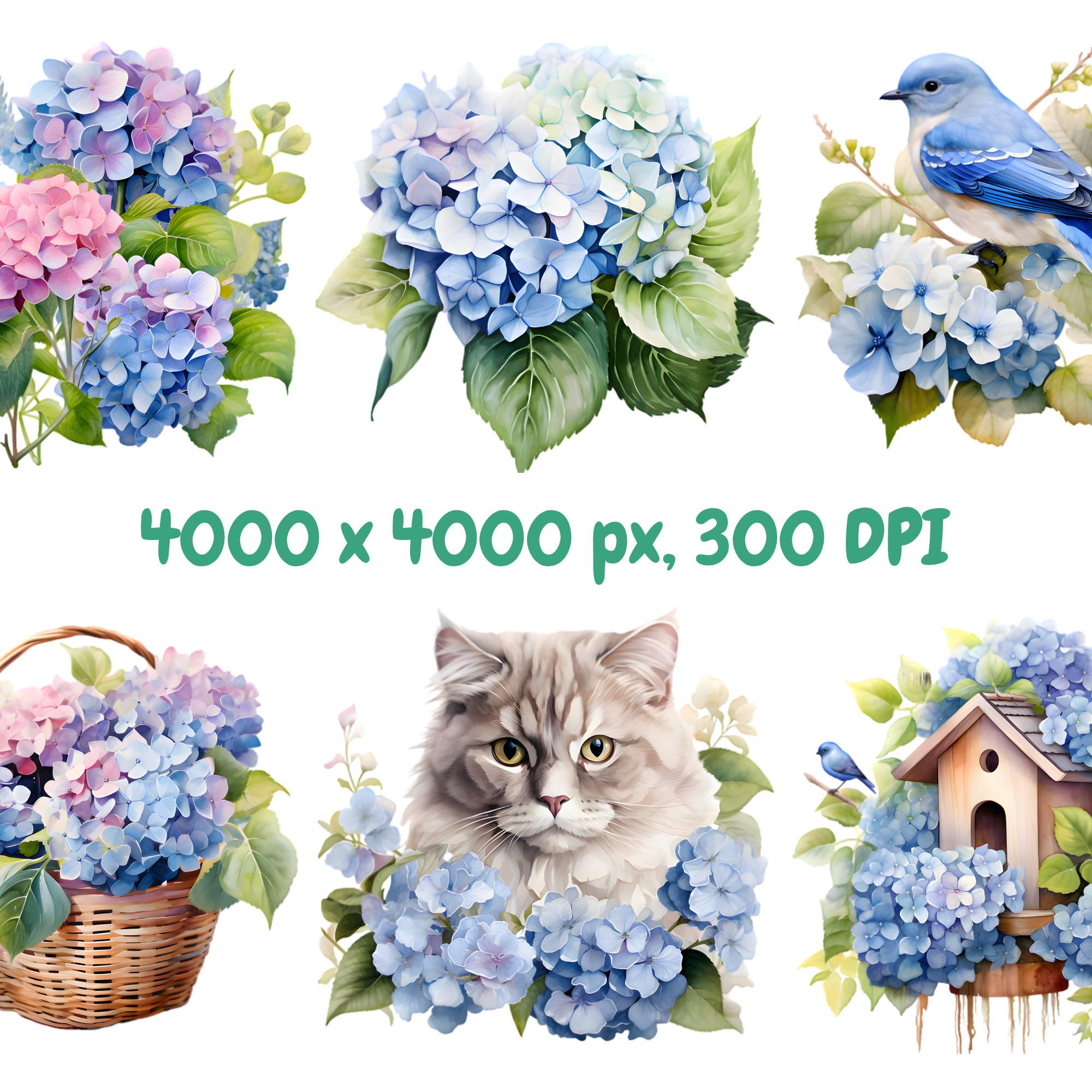 Watercolor Hydrangeas Clipart Bundle, Blue Flowers Clipart, Hydrangea ...