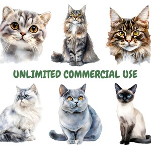 Watercolor Cats Clipart Bundle, Cute Kitten Clipart, Cat Illustrations ...