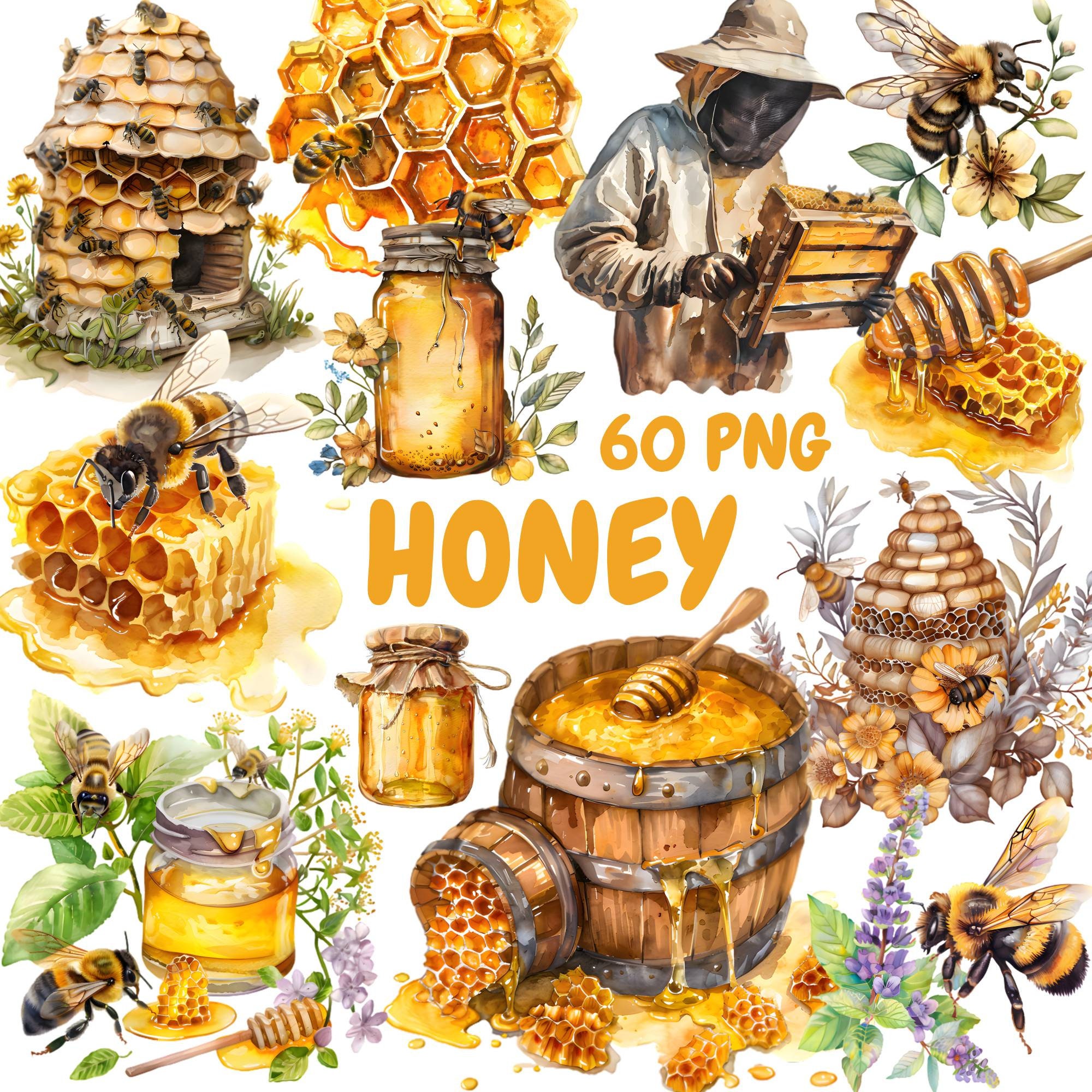 Watercolor Honey Clipart Bundle, Honey Bee Clipart, Honeycomb ...