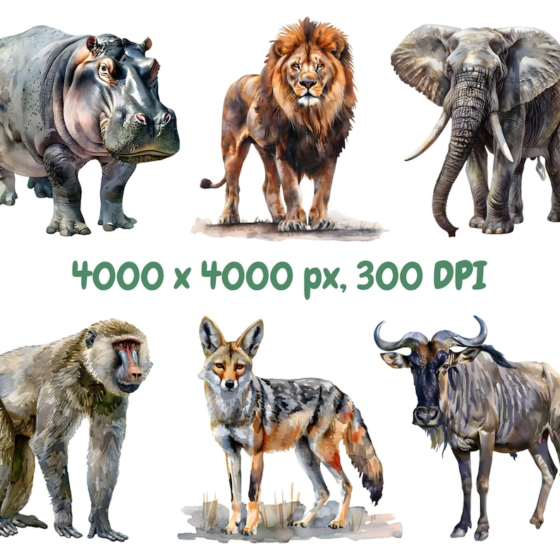 Watercolor African Animals Clipart Bundle, Safari Animals Clipart ...