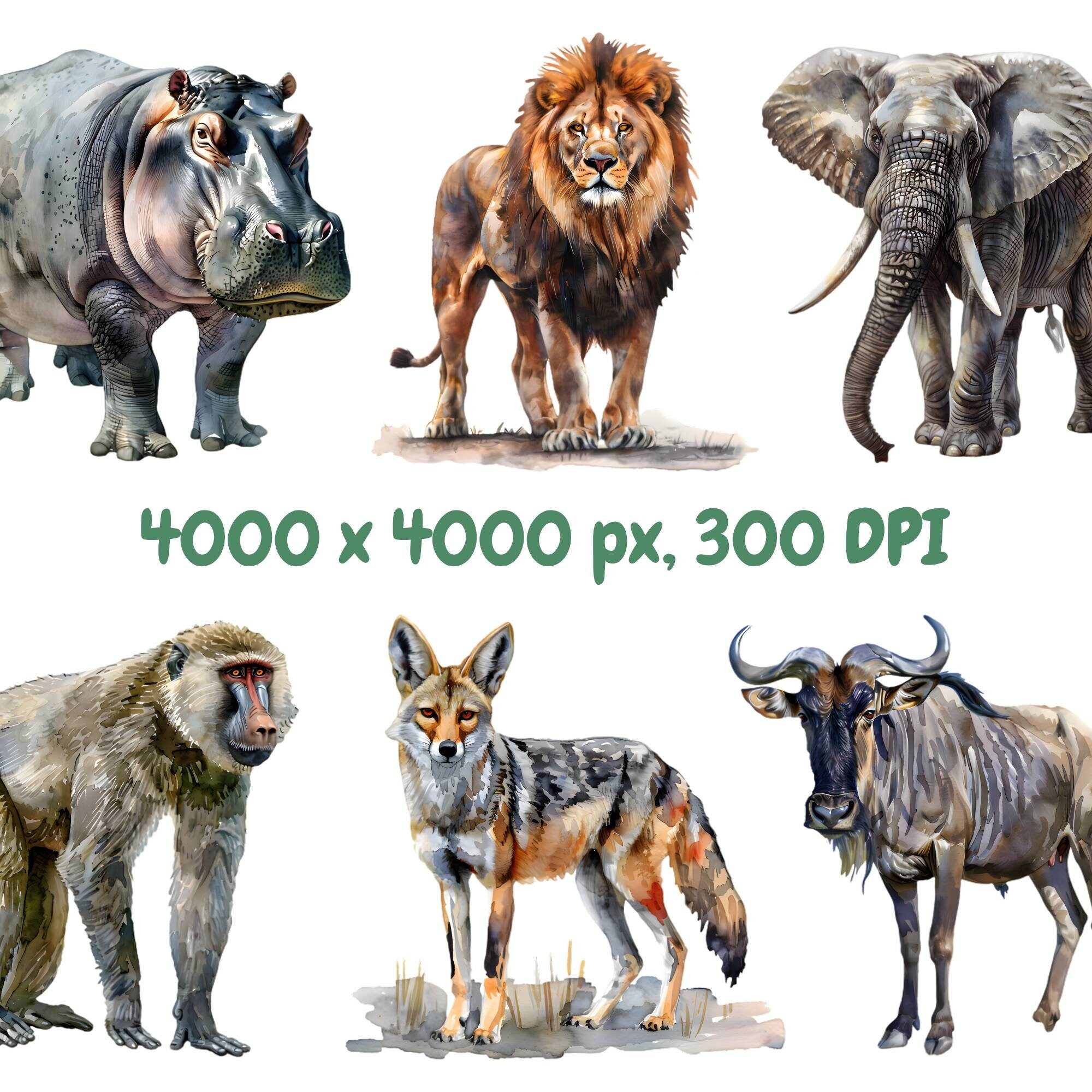 Watercolor African Animals Clipart Bundle, Safari Animals Clipart ...