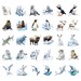 Watercolor Arctic Animals Clipart Bundle, Polar Bear Clipart, Seal ...
