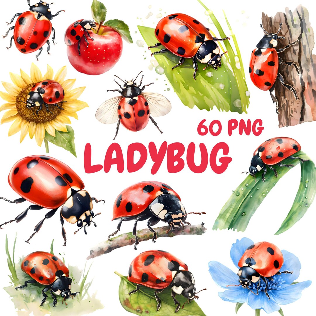 Watercolor Ladybug Clipart Bundle, Cute Ladybugs Clipart, Ladybug ...