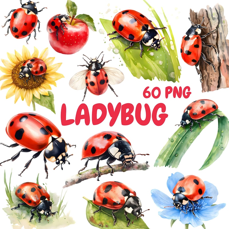 Ladybugs Clipart - Etsy