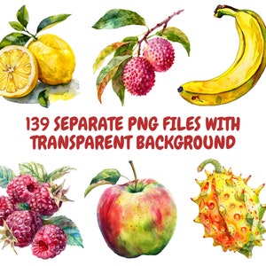 Watercolor Tropical Fruits Clipart Bundle, Healthy Food Clipart, Fruit ...