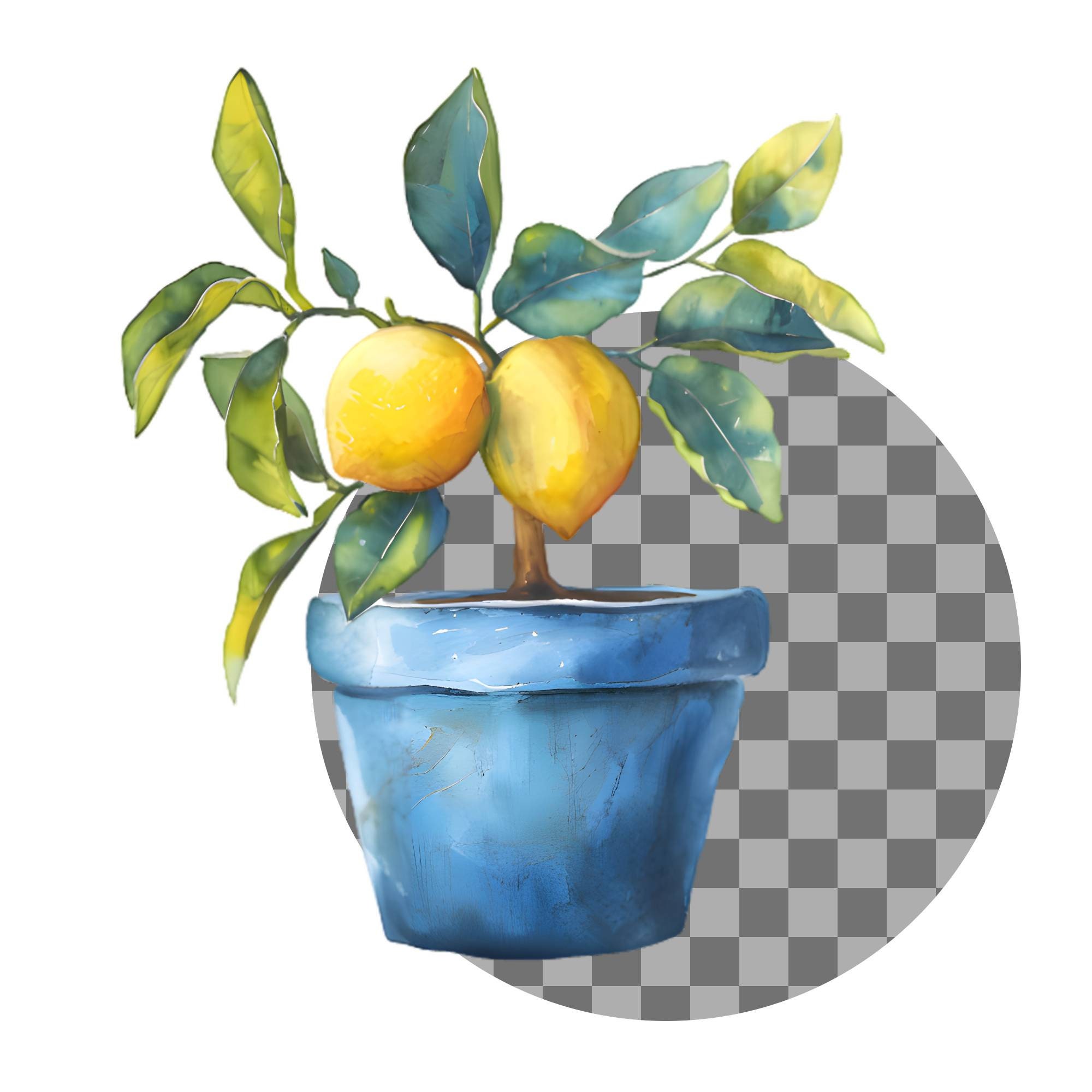 Watercolor Lemon Clipart Bundle, Lemon Branch Clipart, Lemonade ...