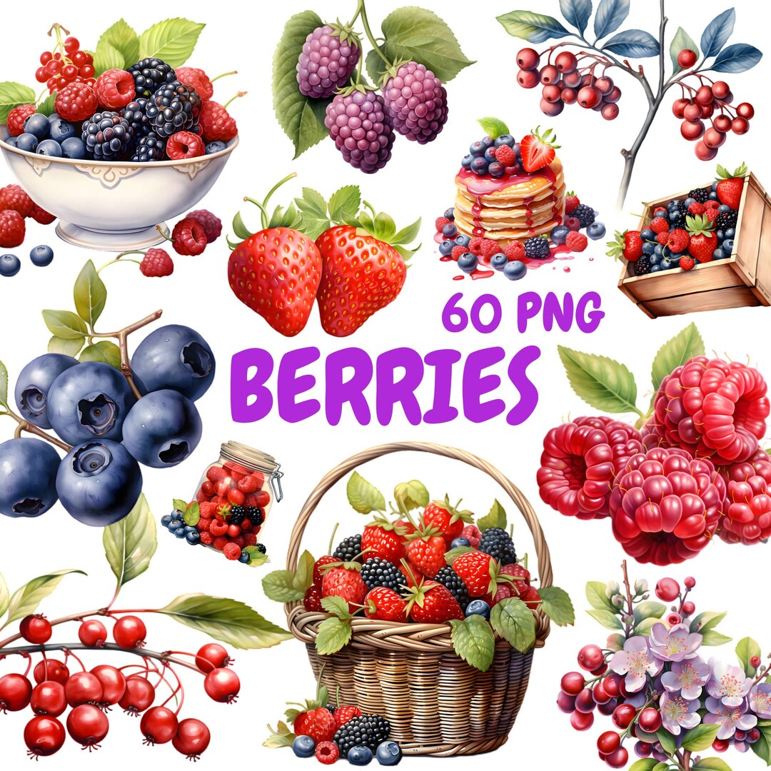 Watercolor Berries Clipart Bundle, Fruit Dessert Clipart, Strawberry ...
