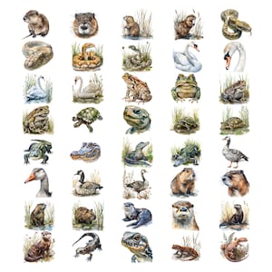 Watercolor Wetland Animals Clipart Bundle, Swamp Wildlife Clipart ...
