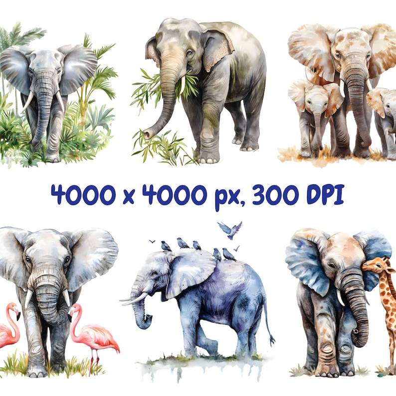 Watercolor Elephant Clipart Bundle, African Elephant Clipart, Elephant ...