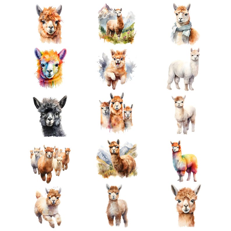 Watercolor Alpaca Clipart Bundle, Cute Llama Clipart, Alpaca ...