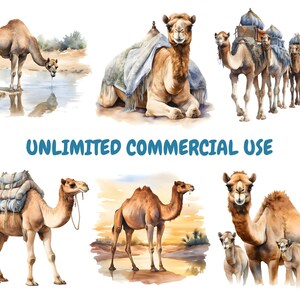 Watercolor Camel Clipart Bundle, Desert Animal Clipart, Camel ...