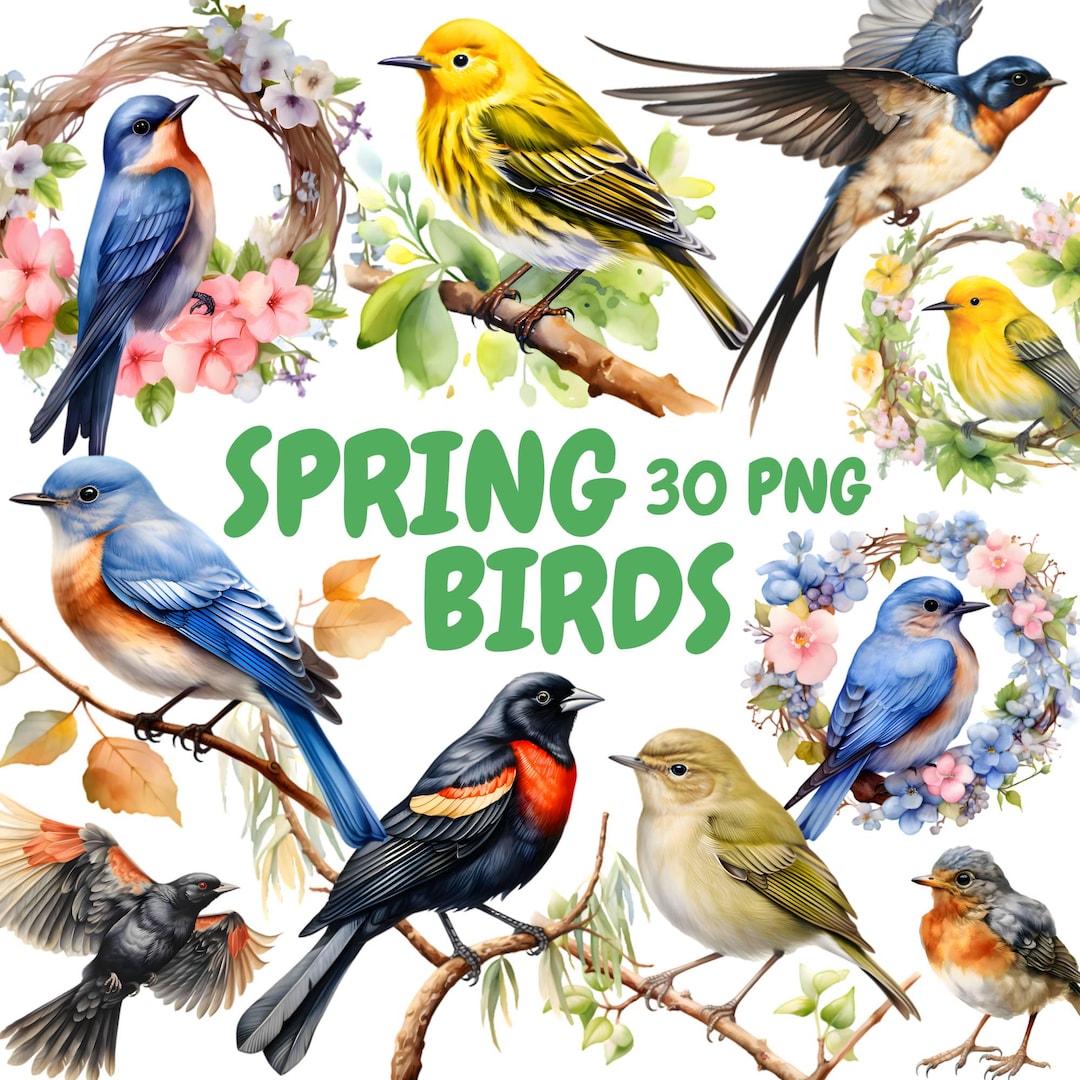 Watercolor Spring Birds Clipart Bundle, Easter Floral Birds PNG, Happy ...