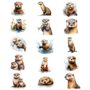 Watercolor Otter Clipart Bundle, Sea Otter Clipart, Otter Illustrations ...