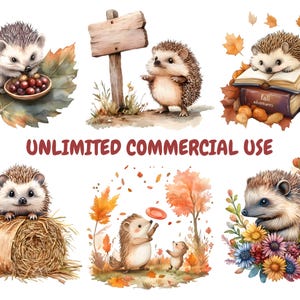 Watercolor Hedgehog Clipart Bundle, Cute Hedgehog Clipart, Hedgehog ...