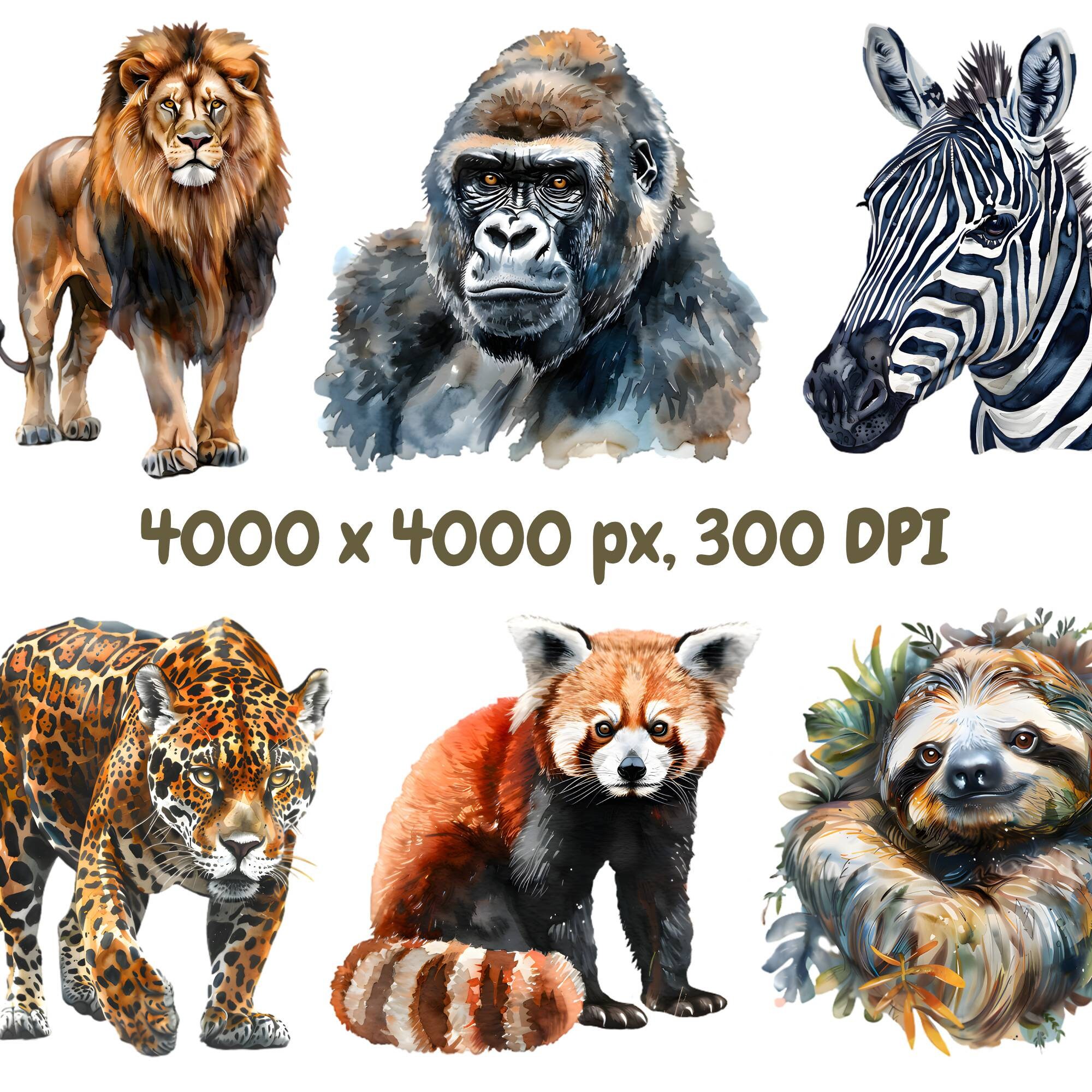 Watercolor Jungle Animals Clipart Bundle, Safari Animal Clipart, Monkey ...