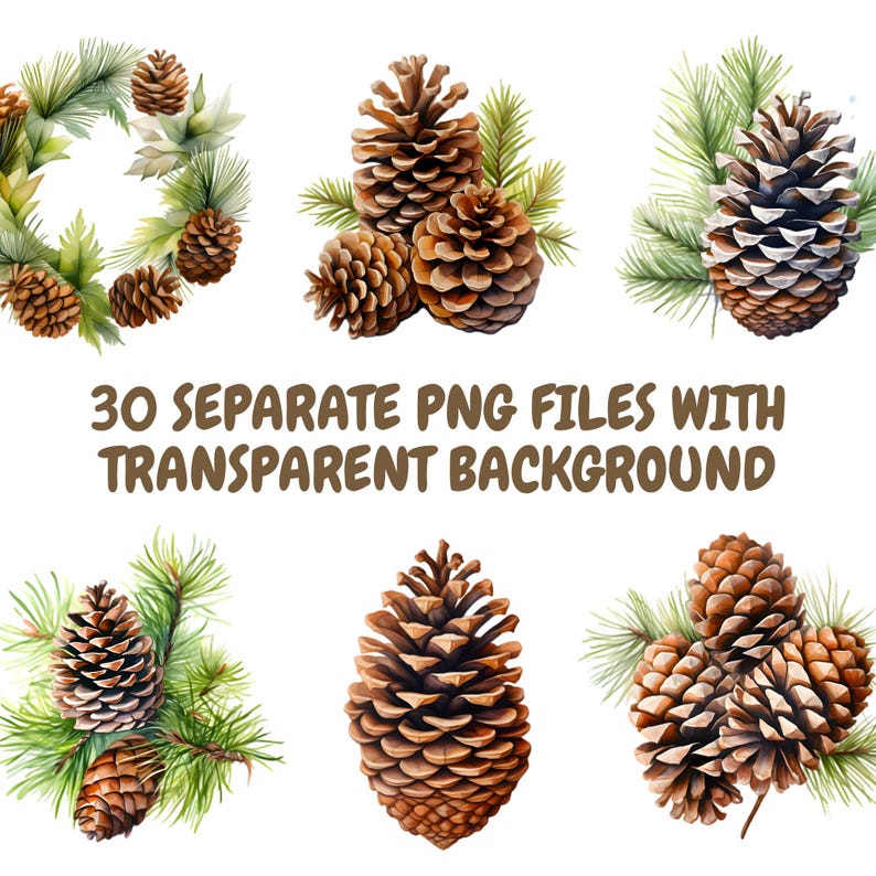Watercolor Pine Cones Clipart Bundle, Pine Tree Clipart, Wreath ...