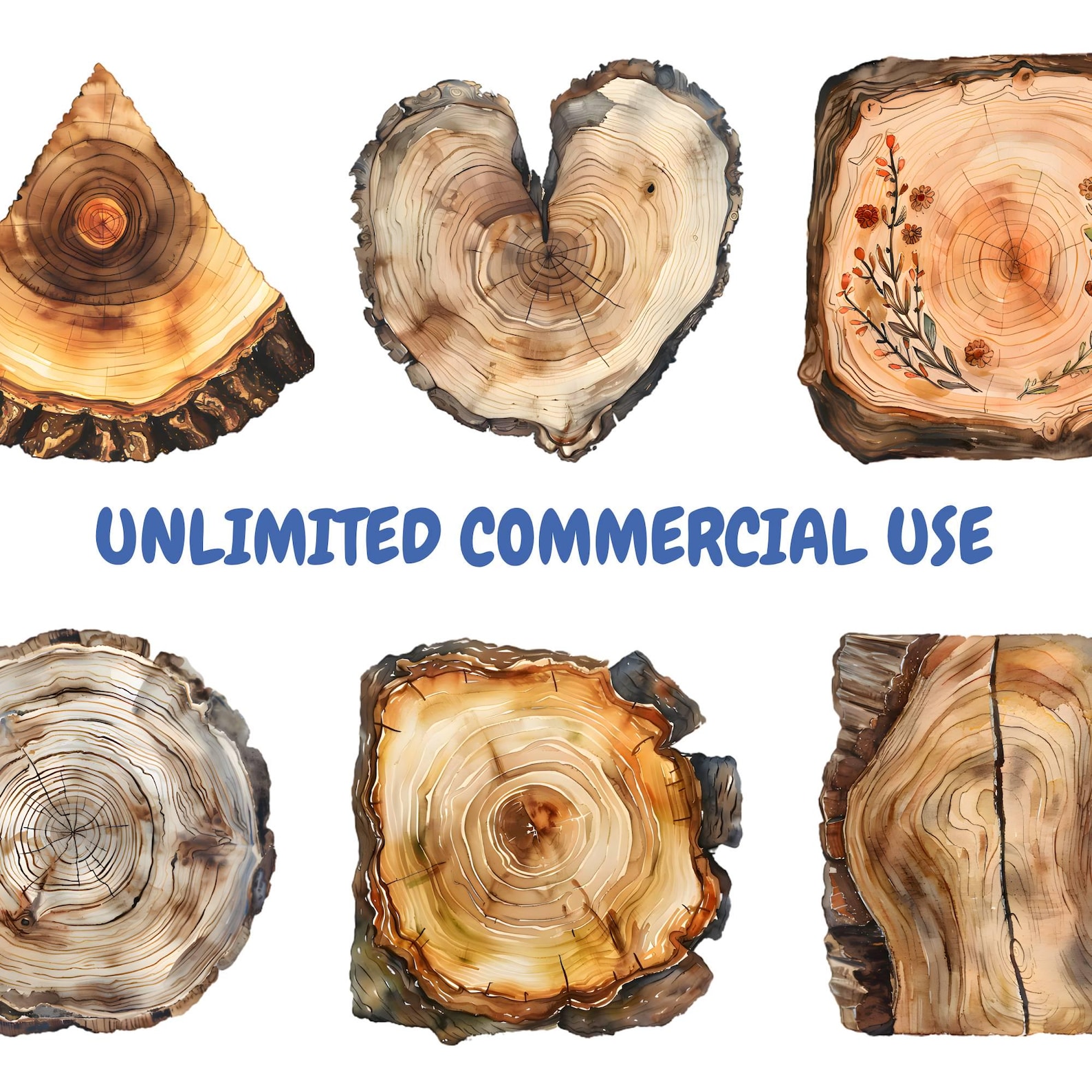 Watercolor Wood Slices Clipart Bundle, Tree Slices Clipart, Forest ...