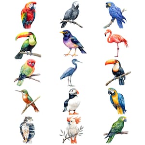 Watercolor Tropical Birds Clipart Bundle, Exotic Birds Clipart, Parrot ...