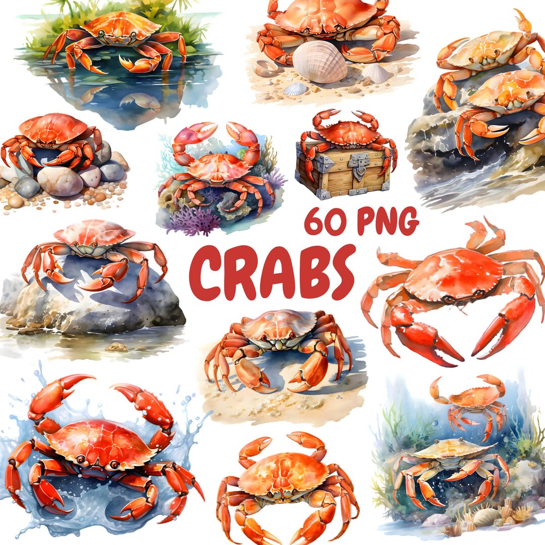 Watercolor Crabs Clipart Bundle, Ocean Animal Clipart, Crab ...