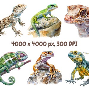 Watercolor Lizards Clipart Bundle, Chameleon Gecko Clipart, Reptile ...