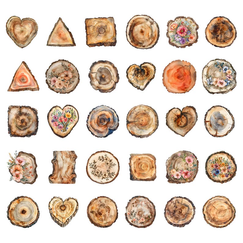 Watercolor Wood Slices Clipart Bundle, Tree Slices Clipart, Forest ...