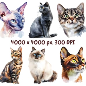 Watercolor Cats Clipart Bundle, Cute Kitten Clipart, Cat Illustrations ...