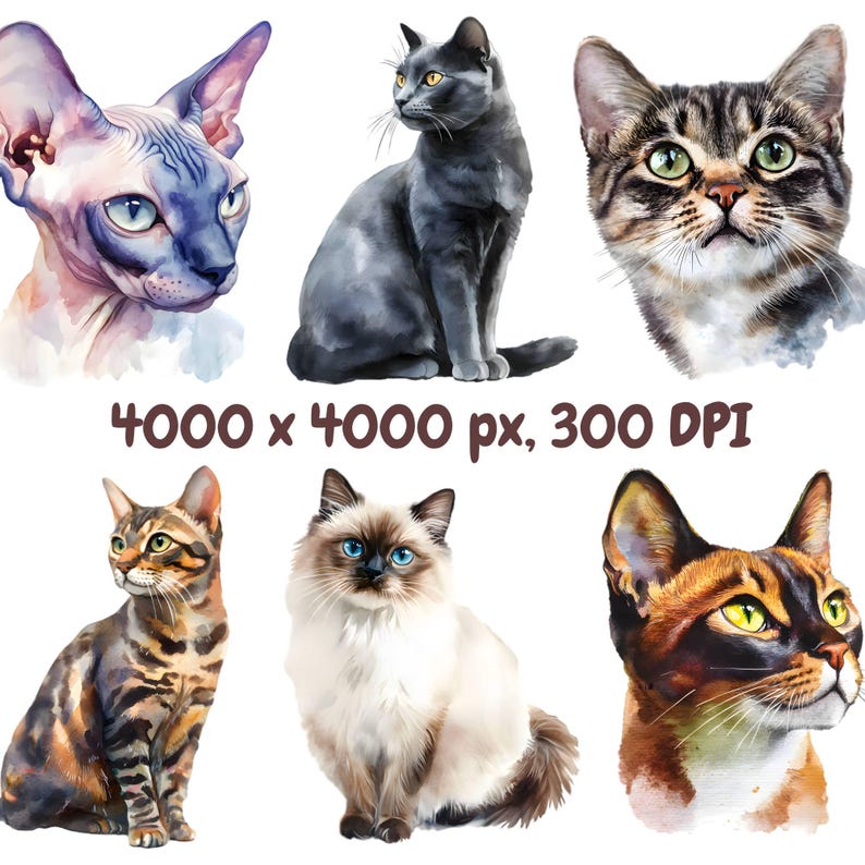 Watercolor Cats Clipart Bundle, Cute Kitten Clipart, Cat Illustrations ...