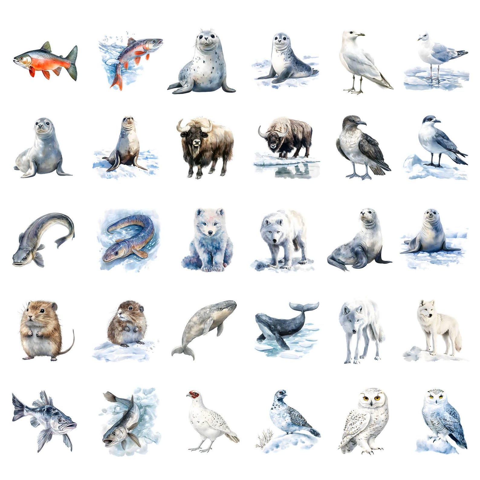 Watercolor Arctic Animals Clipart Bundle, Polar Bear Clipart, Seal ...