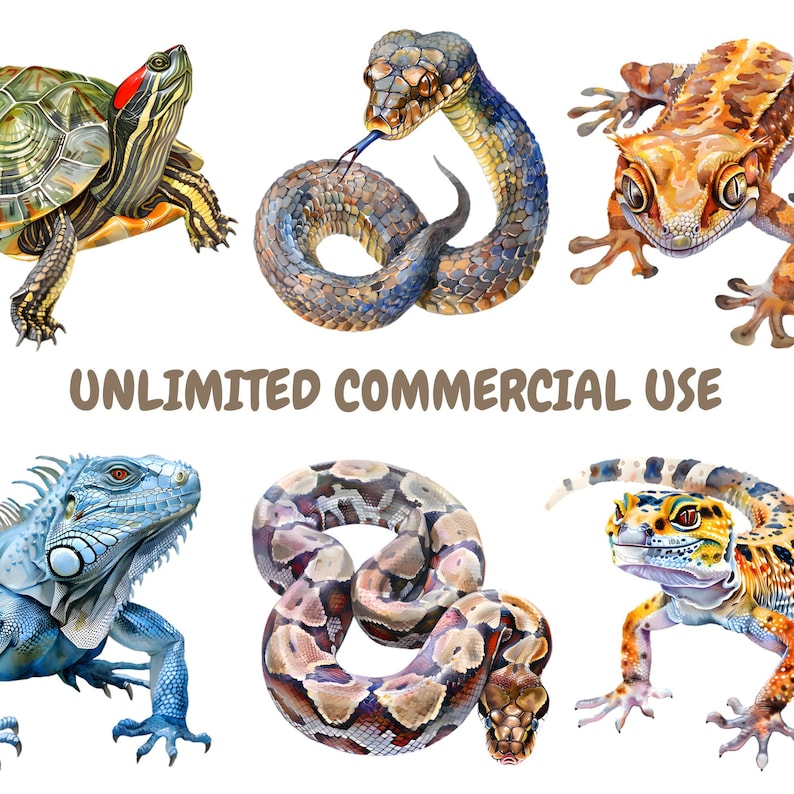 Watercolor Reptiles Clipart Bundle, Exotic Animals Clipart, Lizard Illustrations, Transparent ...