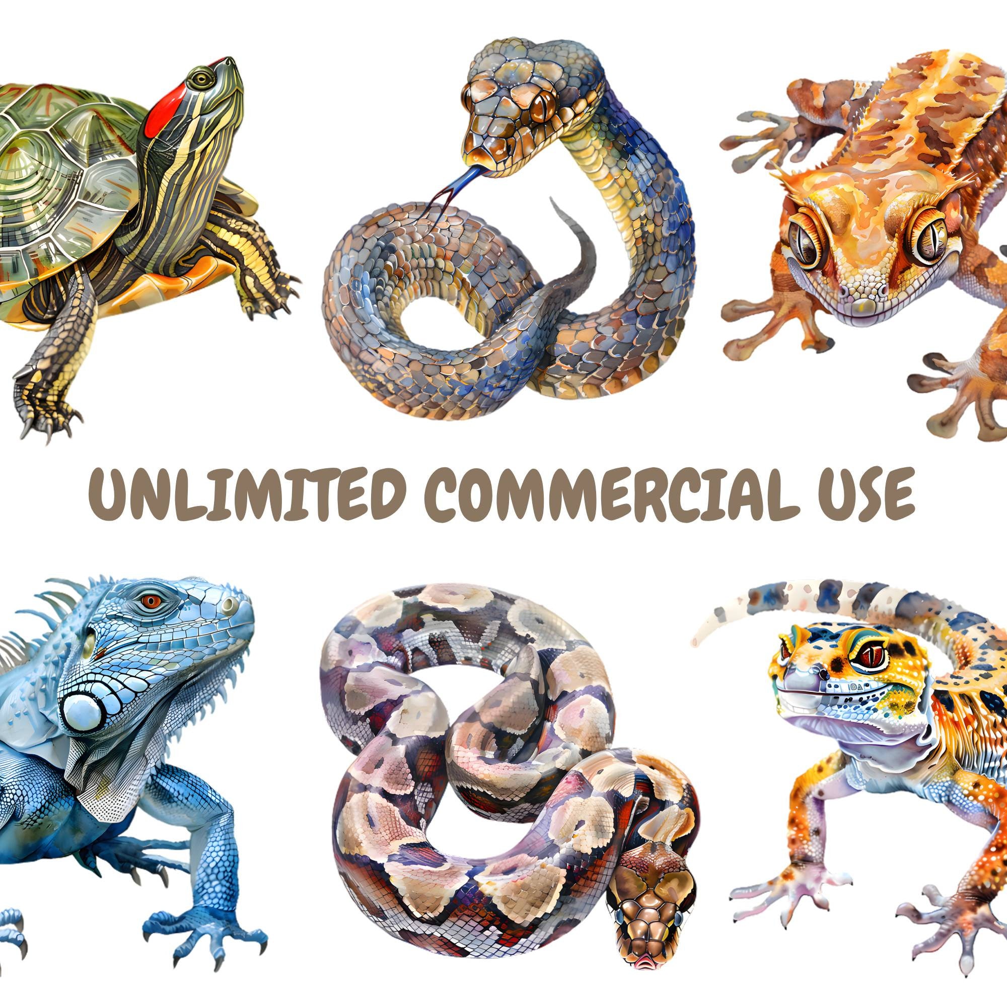 Watercolor Reptiles Clipart Bundle, Exotic Animals Clipart, Lizard ...