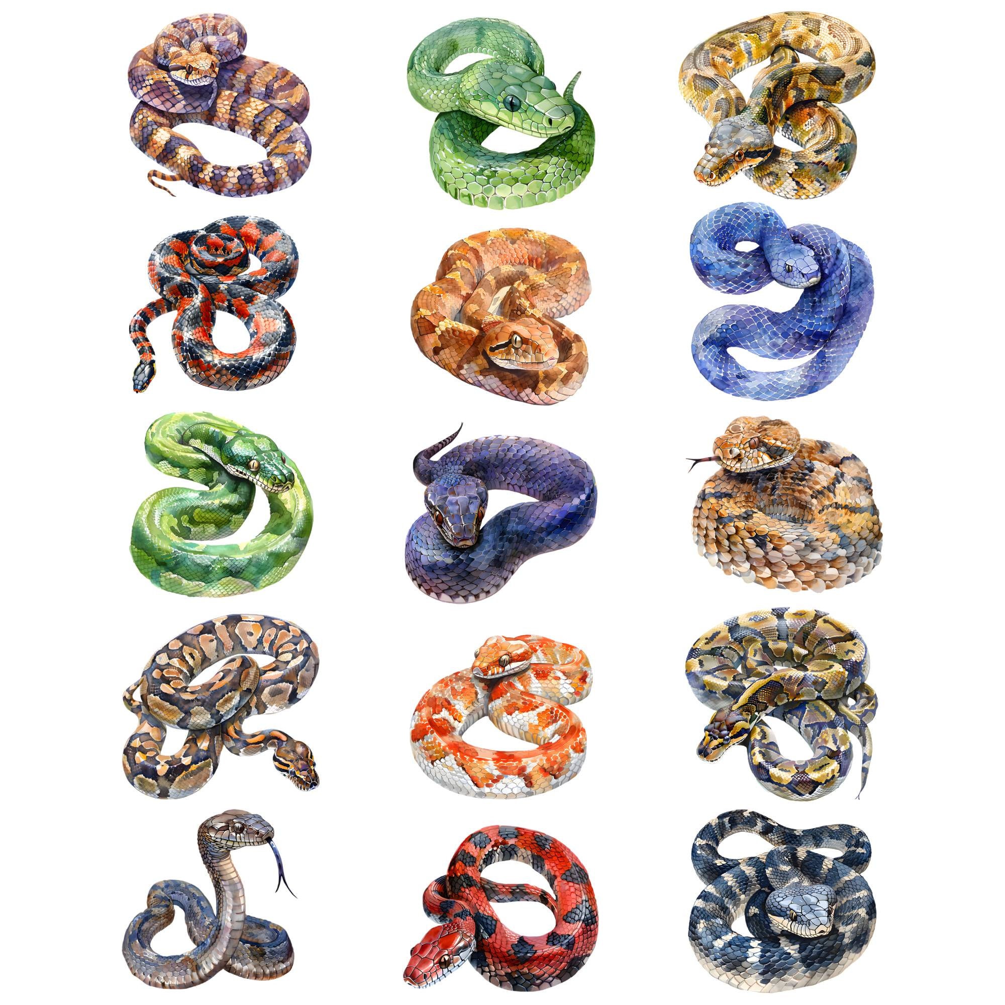 Watercolor Snakes Clipart Bundle, Black Mamba Clipart, Cobra ...