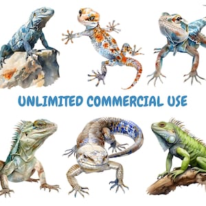 Watercolor Lizards Clipart Bundle, Chameleon Gecko Clipart, Reptile ...