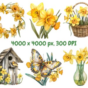 Watercolor Daffodils Clipart Bundle, Yellow Flower Clipart, Daffodil ...